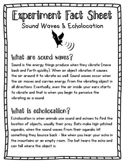 Echolocation Sound Wave Experiment Sound Waves Experiments Echolocation