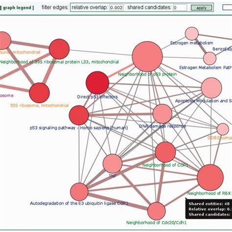 Functional Gene Set Overlap Graph Summarizing Predefined Gene Sets And