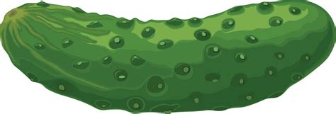 Pickle Vector Art Icons And Graphics For Free Download
