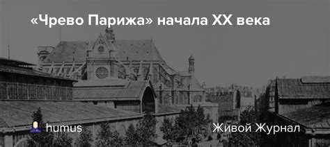 «Чрево Парижа» начала ХХ века: humus — LiveJournal