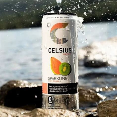 Celsius Assorted Flavors Official Variety Pack Functional Essential Energy Drinks 12 Fl Oz