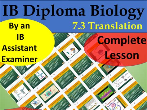 Ib Biology Topic 73 Translation Ppt Teaching Resources