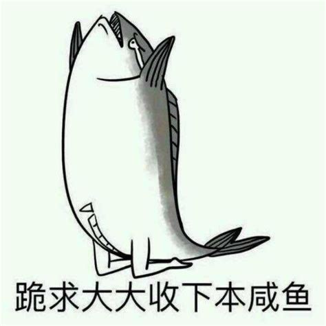 why heart broken · issue 6 · sniperoj attack defense framework · github