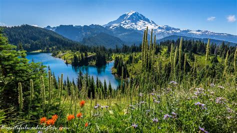 List Of National Parks Located In Washington