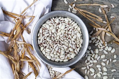 붉은 반점과 흰 강 낭 콩 회색 배경에 금속 격판덮개에 밖으로 부 어 넣는다 콩 건조 콩 깍 지 흩어져 있습니다 자르기 0명에 대한 스톡 사진 및 기타 이미지 Istock