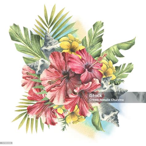 열대 야자수는 붉은 히비스커스 꽃 노란 꽃 조개껍데기가 있습니다 수채화 그림입니다 Cuba 컬렉션의 구성 여름과 해변 프린트의 장식 및 디자인 하와이 문화에 대한 스톡 벡터