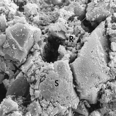 Sem Micrograph Of Sterile Gac Particle Showing Different Surface Zones Download Scientific Sem Micrograph Of Sterile Gac Particle Showing Different Surface Zones Download Scientific