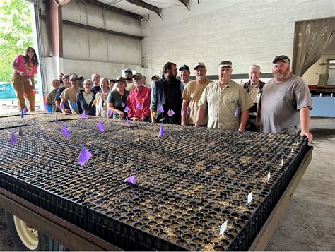 A Major Milestone For Longleaf Pine Ecosystem Restoration Virginia