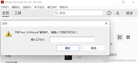 使用python暴力破解pdf文件打开密码教程 python解密pdf csdn博客