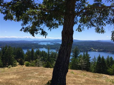 Hiking Up To Ship Peak Life On Orcas Island
