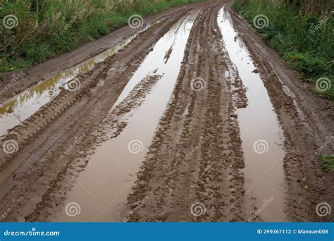 A Country Road With Ruts And Puddles Curbs Overgrown With Grass And