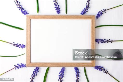 엽서 레이아웃 플랫 레이 상단 보기 행 사각형 모양의 파란색 히아신스와 텍스트 복사 공간 휴일 인사말 카드 포도 히아신스 무스카리 0명에 대한 스톡 사진 및 기타 이미지
