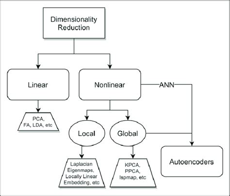 Categorization Of Dimensionality Reduction Models Download Scientific Diagram