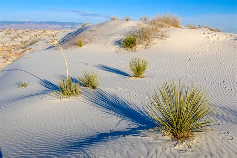 In Focus White Sands National Park — Miles 2 Go