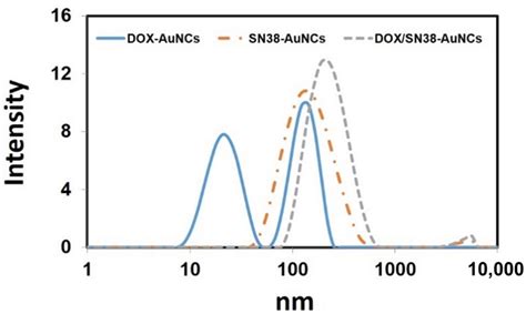 Size Of Doxorubicin Dox Auncs Sn38 Auncs And Doxsn38 Auncs Measured
