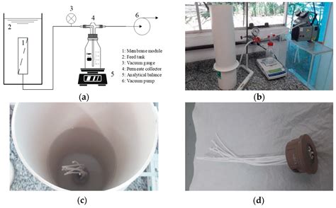 A New Approach To The Development Of Hollow Fiber Membrane Modules For