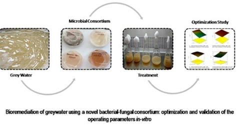 Bioremediation Bacteria