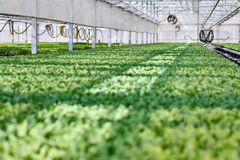 Reliable Hvac Duct Cleaning Malaysia Kl Selangor Services Provider