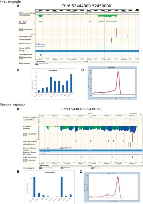 examples of new non annotated transcripts a display of the ensembl