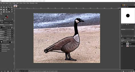 Low Tech Art Tool GIMP Tracing