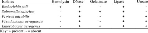Phenotypic Virulence Determinants Of Bacterial Isolates Download Scientific Diagram