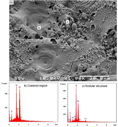 A Sem Micrograph Showing The Coating Surface Morphology On Sample S4