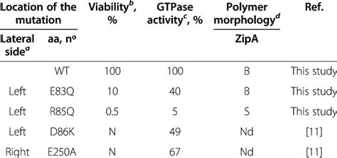 Summary Of Ftsz Mutations And Their Effects On Cell Viability Gtpase