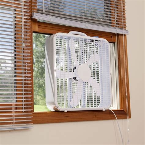 Homeowners Guide To Box Fans