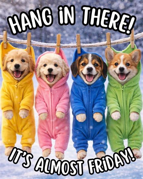 Youre Halfway Through The Week Good Vibes And Laughs Facebook