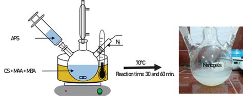 Influencing Factors And Stimulus Sensitivity Of Chitosan