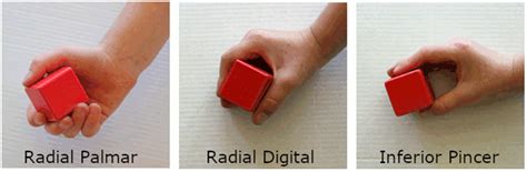 Development Of Fine Motor Skills