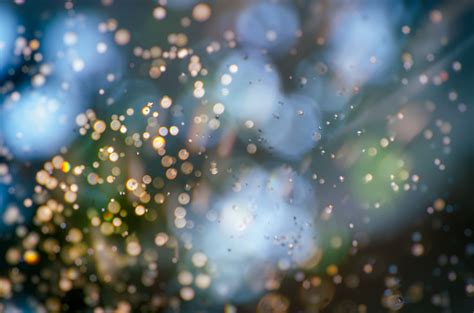 나뭇잎 부드러운 초점 Bokeh 조명과 황금 물 방울의 비의 추상 자연 흐리게 배경 자연 디 포커 싱 배경 창조적 인 디자인에 적합 합니다 0명에 대한 스톡 사진 및 기타