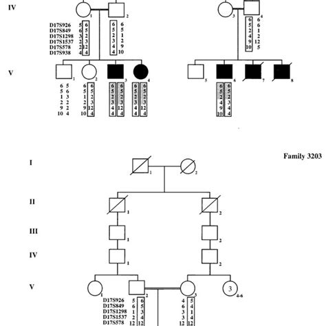 Multipoint Linkage Analysis Results The Multipoint Lod Score Of The Download Scientific