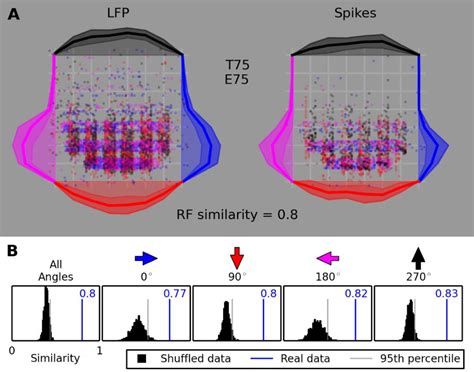 Figure 11 From Neural Processing In The Three Layer Turtle Visual Cortex Semantic Scholar