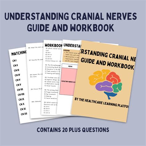understanding cranial nerves guide and workbook