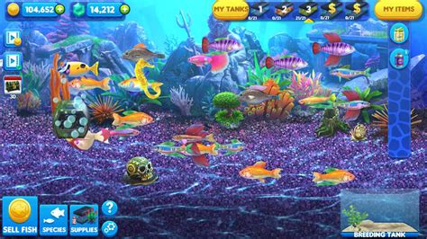 Our 5 Favorite Fish Games For Pc