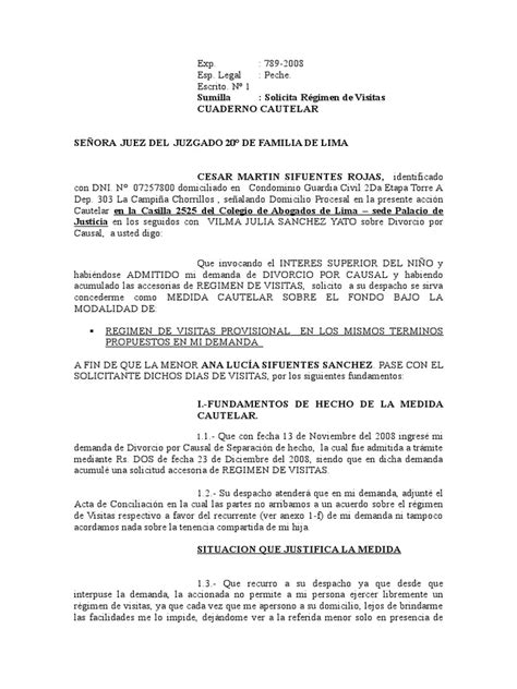 Medida Cautelar Regimen De Visitas Pdf Divorcio Demanda Judicial