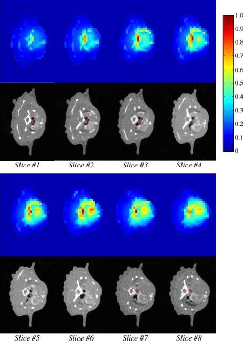 Fdot Reconstruction The First And The Third Rows From The Top Download Scientific Diagram