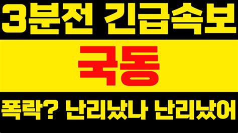국동 3분전 긴급속보 폭락 난리났다 난리났어 주가전망 주가 전망 단타 5억 주식 세력매집주 주식으로 돈벌기 100억 부자 매수매도매매