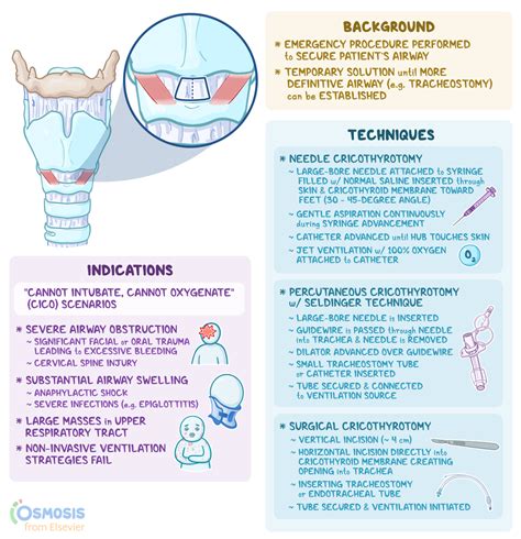 Cricothyroïde Membraan Anatomy And Landmarks For Cricothyrotomy The