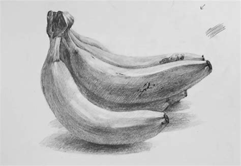 연필 드로잉 정물 렛츠드로우