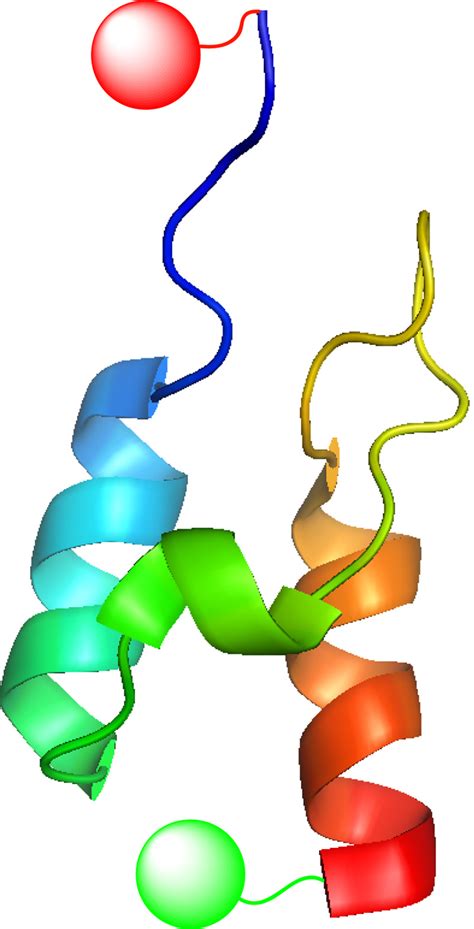 The Structure Of Bbl Protein Data Bank Code 1w4h Made With Pymol The