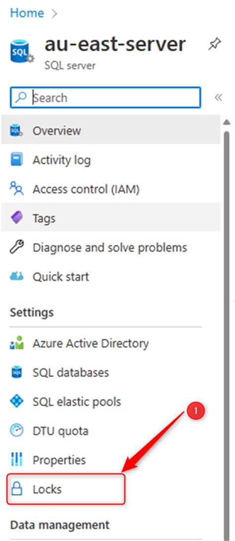 Prevent To Delete The Database Or Server