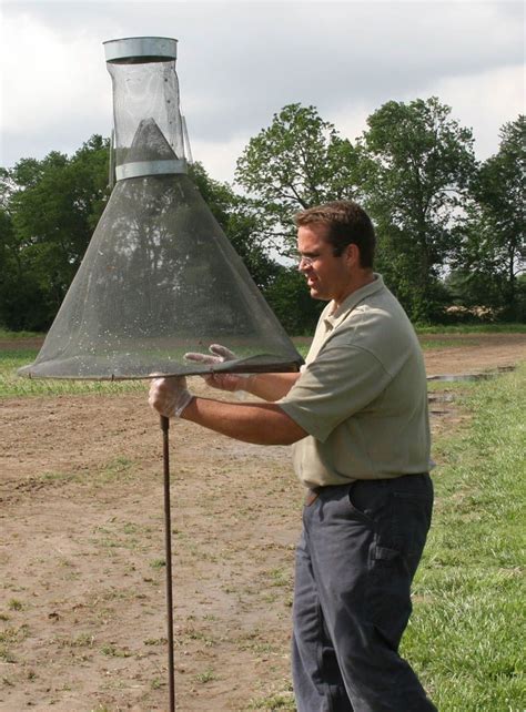 An Extension Specialist In Kentucky Sets Up A Pheromone Trap For Armyworm Corn Borer And Corn