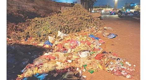 Garbage Removed From Empty Plot On Dc Orders Urdupoint