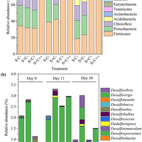 Stack Histogram Of Relative Abundance Of Bacterial Community At The