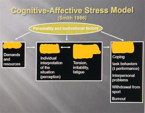 Cognitive Affective Stress Models Diagram Quizlet