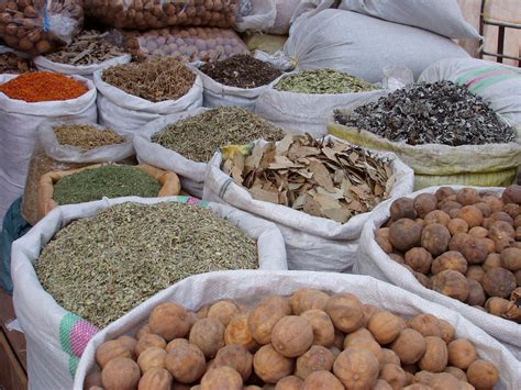 Herbal Free Photo Download | FreeImages