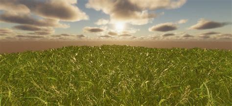 realistic outdoor lighting in unity hdrp lighting canopy