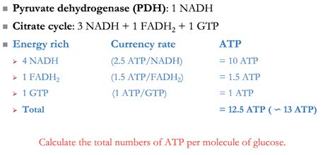 Solved Below Is A Calculation For When Asked How Many Chegg Com